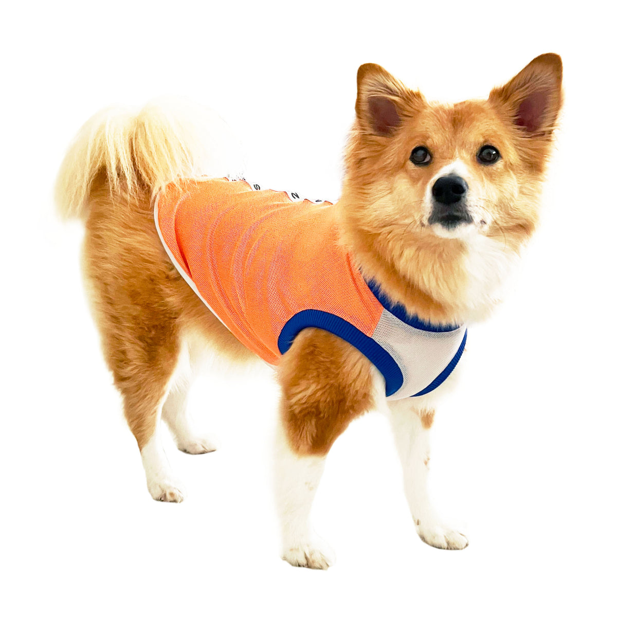 POLLUX - Orange – COSMOS 29Q